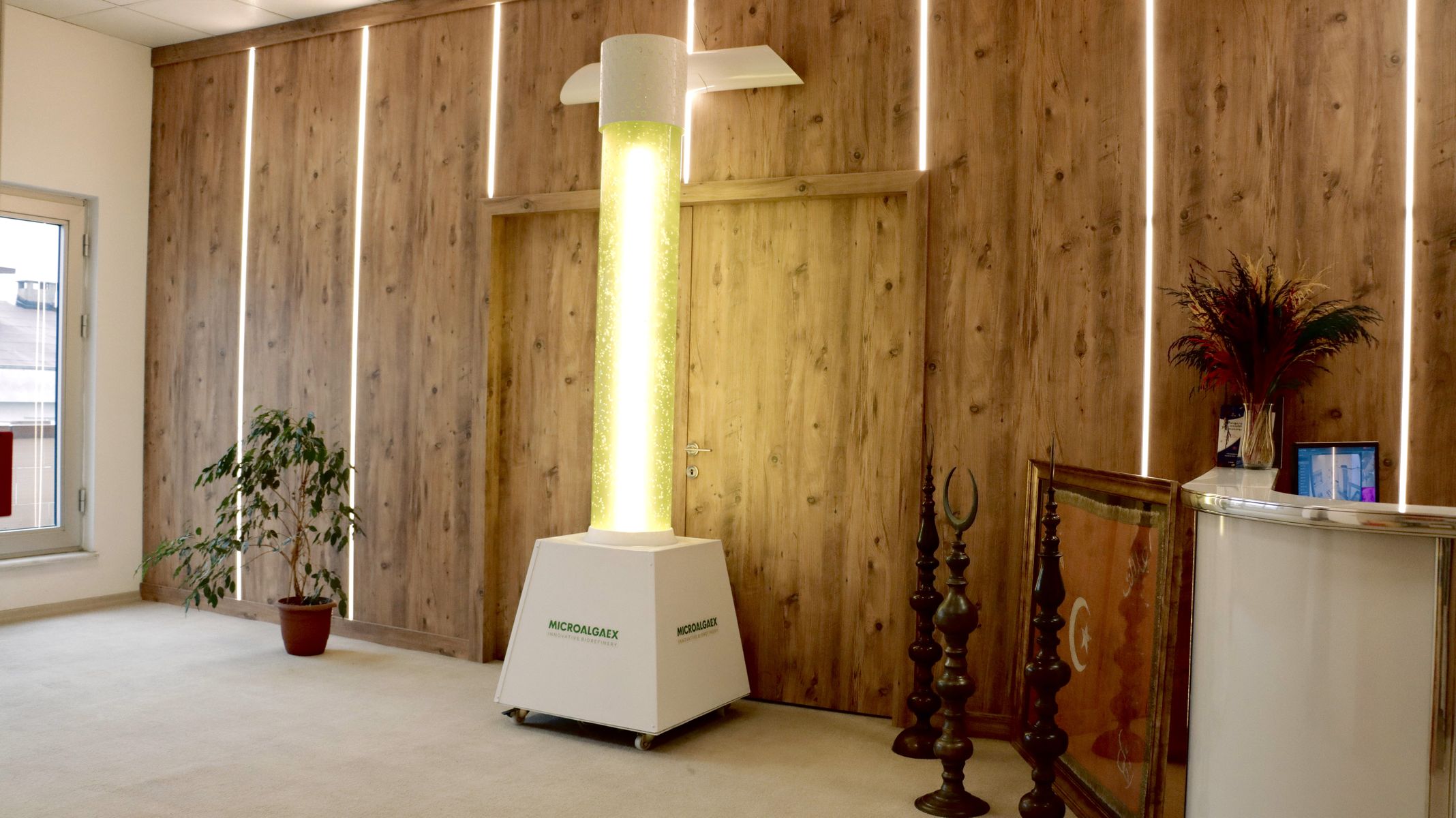 Temiz Hava Teknolojisinde Devrim Sıvı Ağaç Liquid Tree ile Tanışın ...